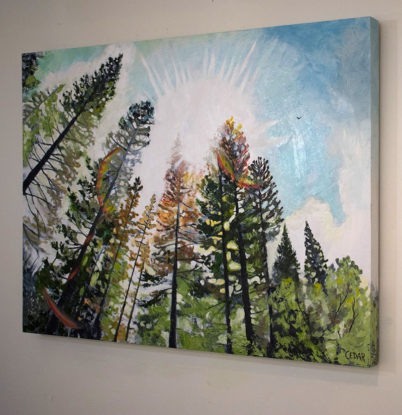 Freedom - Art by Cedar Lee