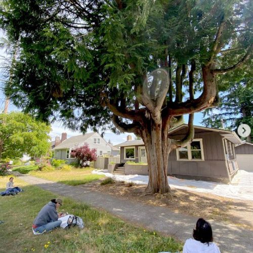 Unique Portland Tree: Denizen II - Art by Cedar Lee