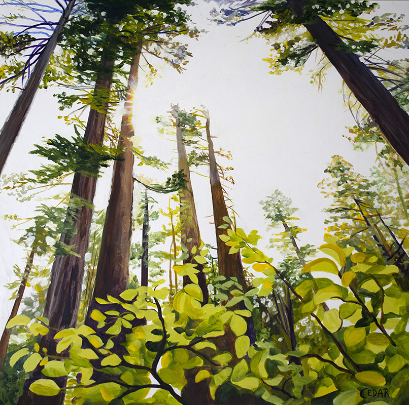 Lit Up | Forest Painting with Leaves in Sunlight - Art by Cedar Lee