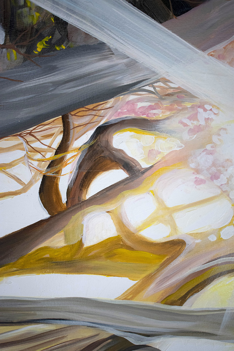 Coastal Tea Trees in Golden Gate Park | Large Scale Painting of Sun ...