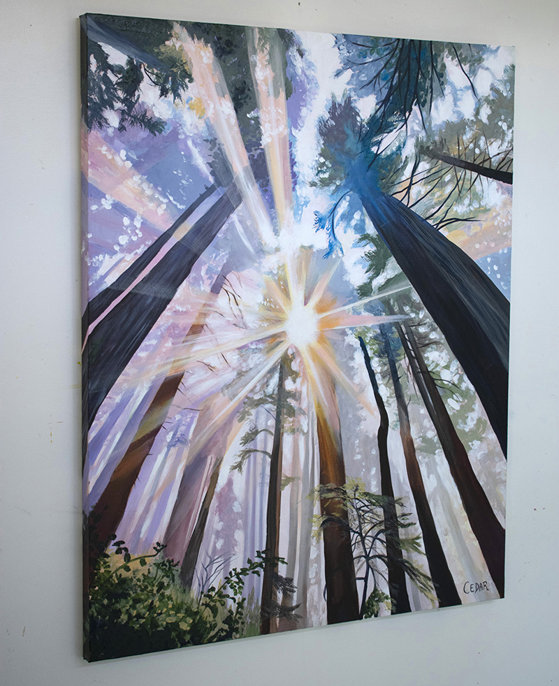 Redwood Cathedral | Redwood Trees Painting | Amazing Light in ...