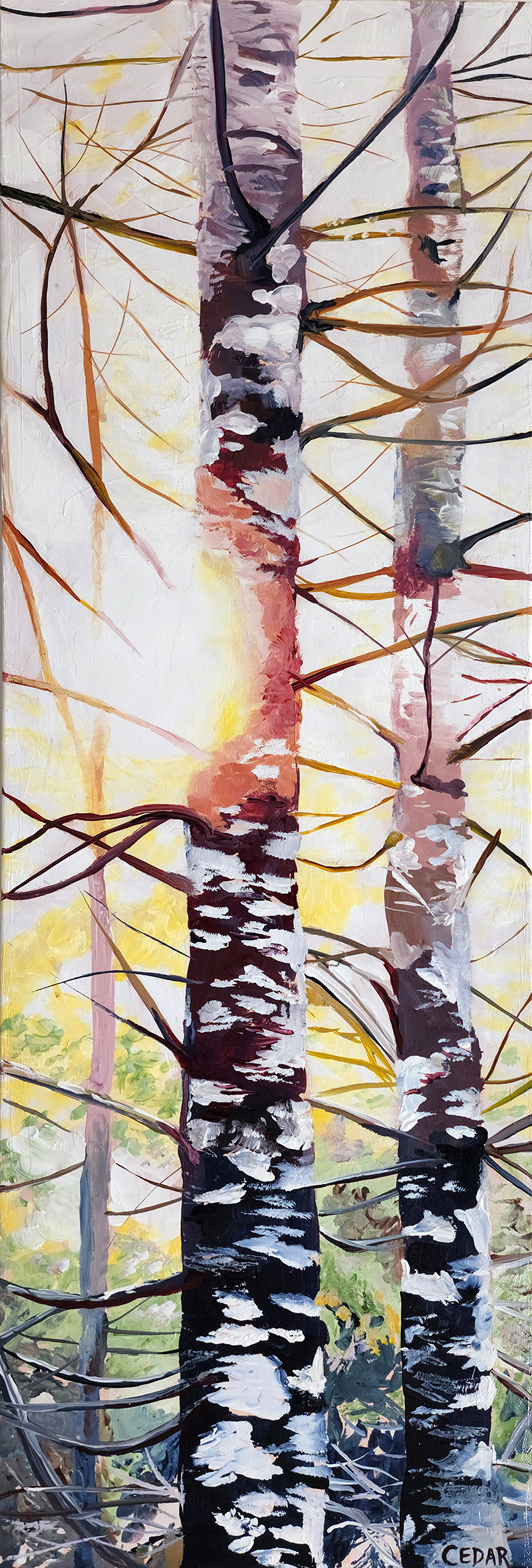 Brilliance: Print - Art by Cedar Lee