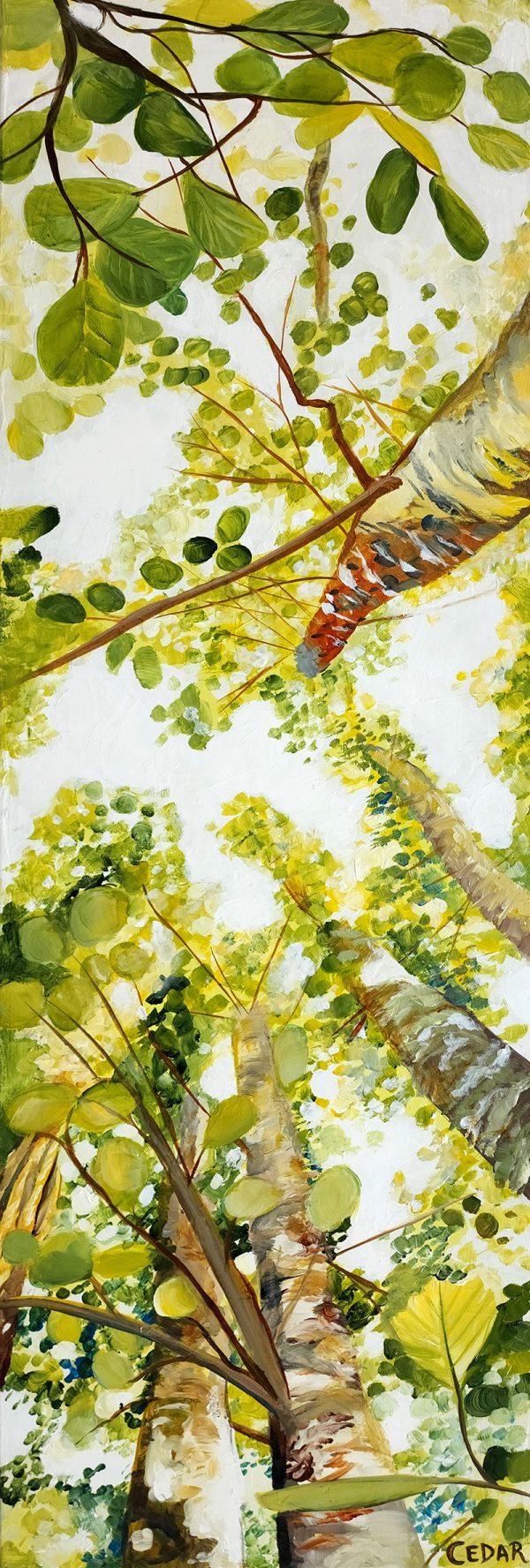 Sparkling Canopy: Print - Art by Cedar Lee
