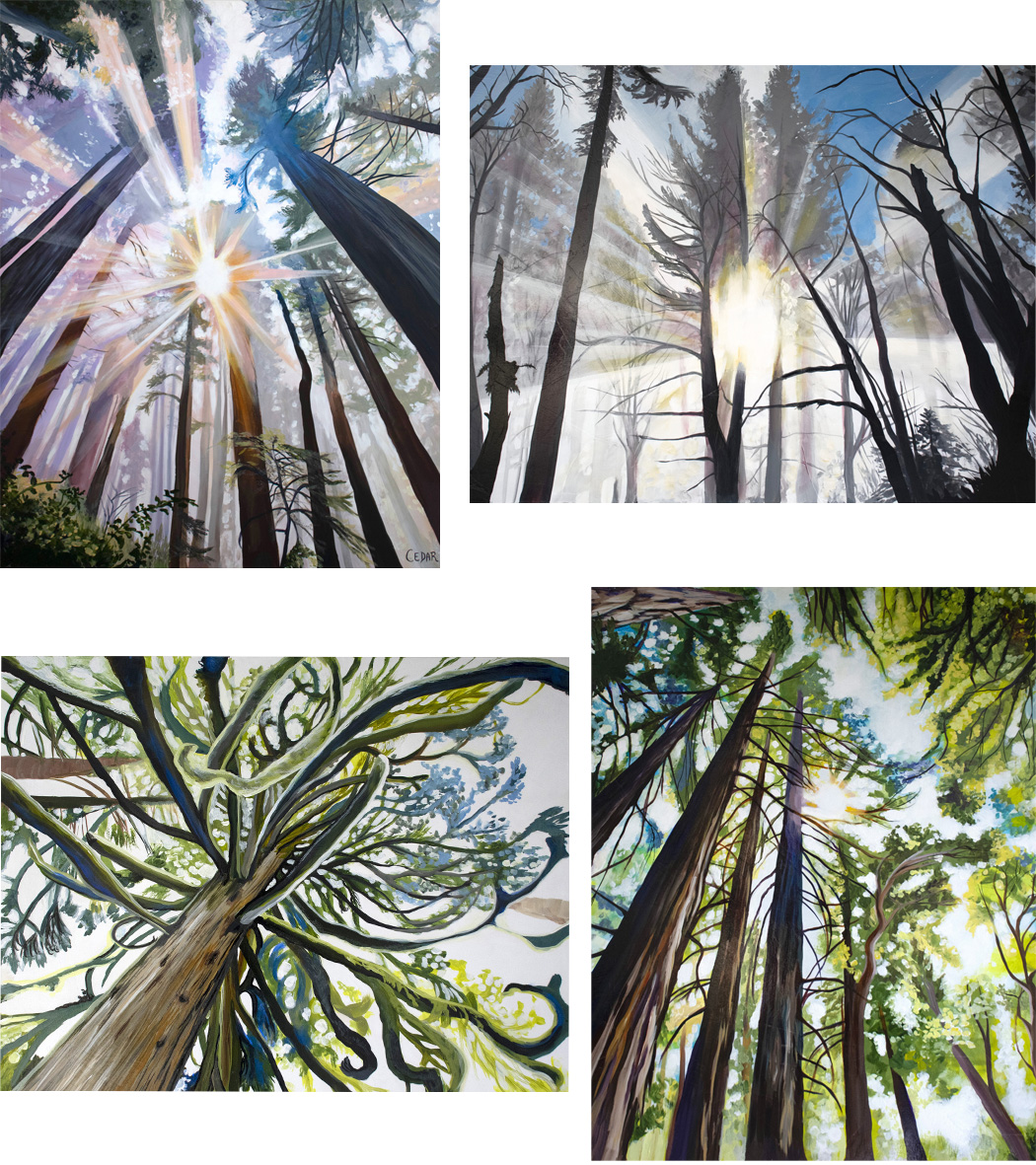 Folding Greeting Cards: Looking Up Collection (8 Cards, 2 of each ...