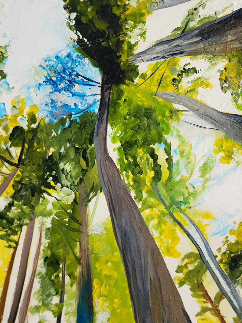 Vertical Green Forest Paintings and Art Prints | Redwoods Art ...