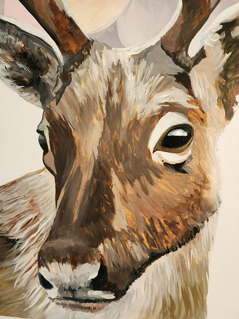 The Explorer | Character Archetypes | Flora & Fauna Symbolic Art - Art ...