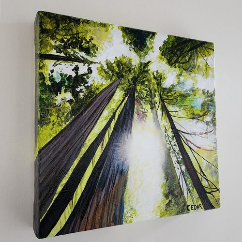 Mini Forest Paintings | Redwood Trees Art | Sunshine in the Woods - Art ...