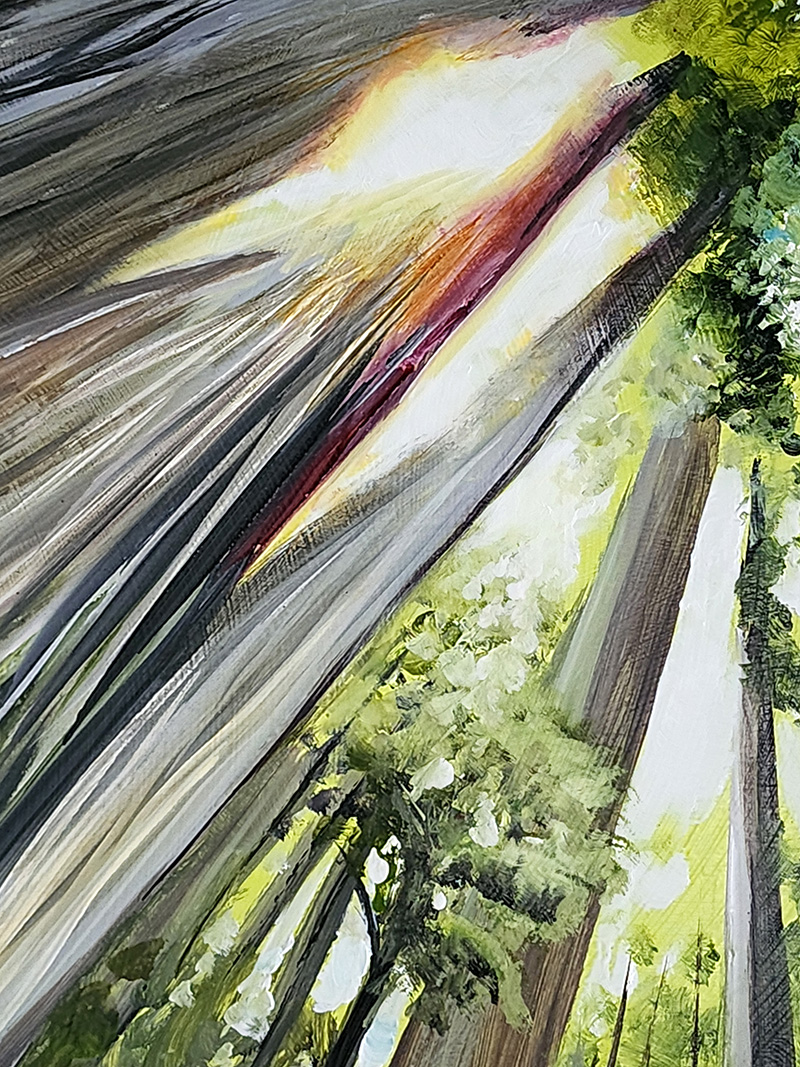 Luminous Redwoods: Original 10" x 20" - Art by Cedar Lee
