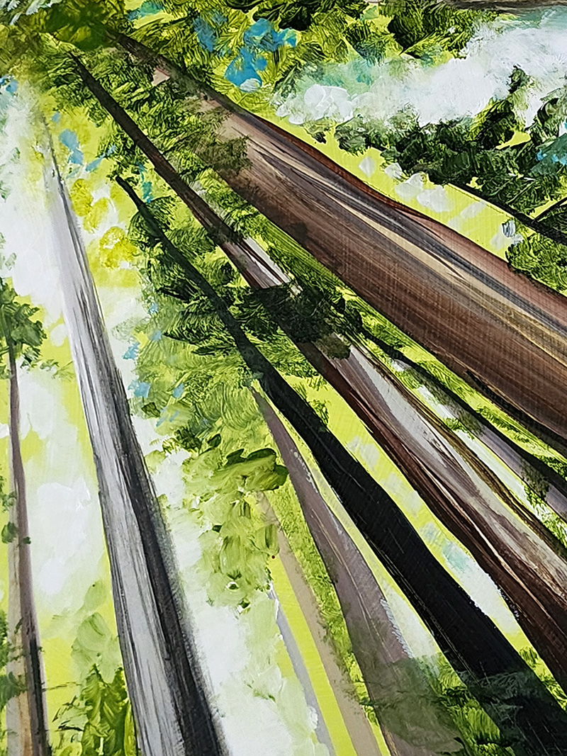 Luminous Redwoods: Original 10" x 20" - Art by Cedar Lee