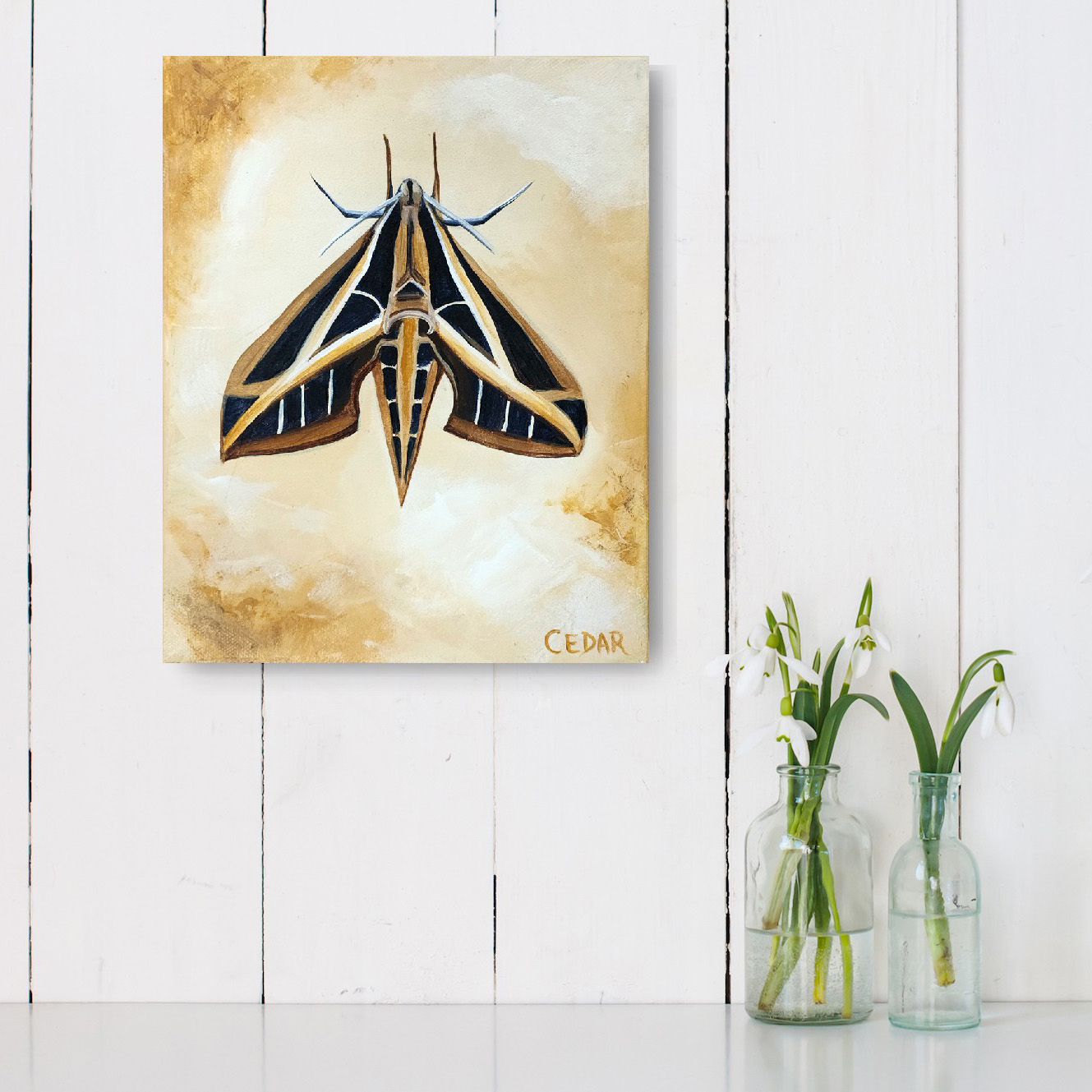 Sphinx Moth 4: Original 10" x 8" - Art by Cedar Lee Sphinx Moth ...