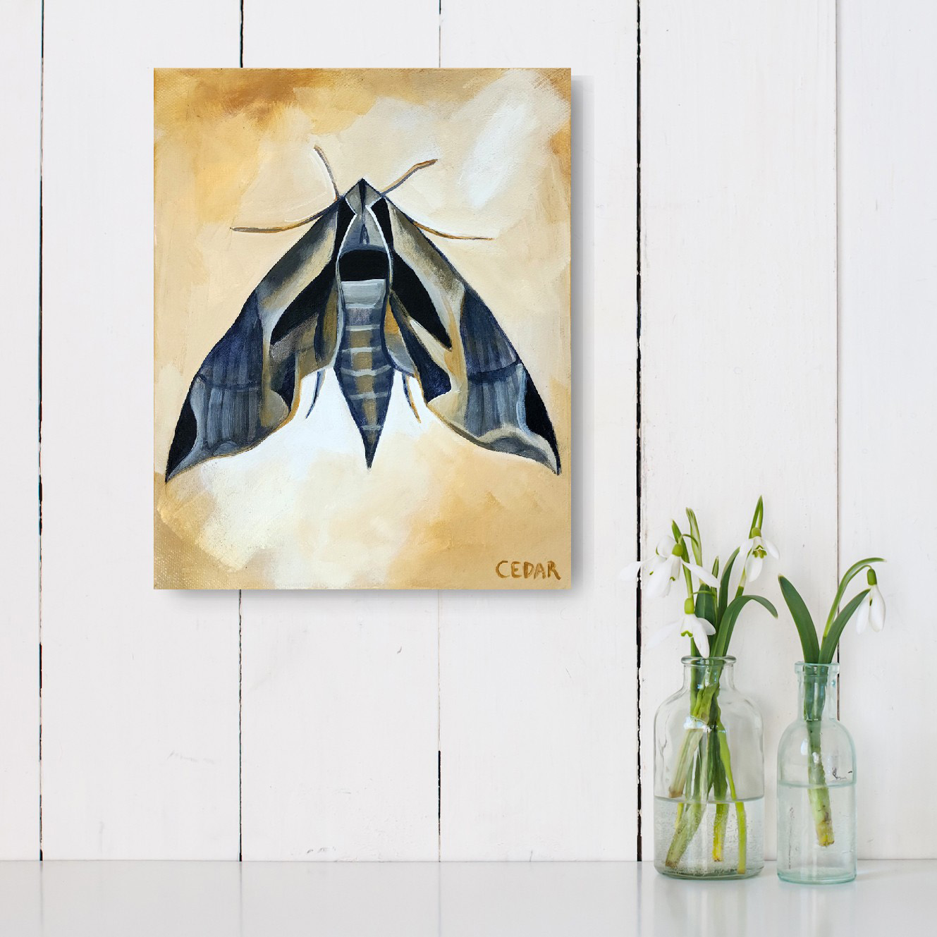 Sphinx Moth 5: Original 10" x 8" - Art by Cedar Lee Sphinx Moth ...